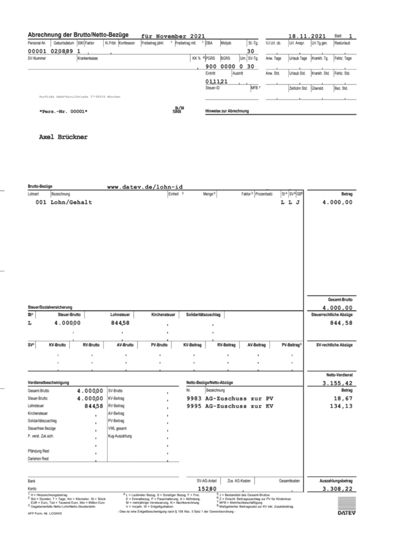 German Payslip Differences: Employed vs. Self-Employed